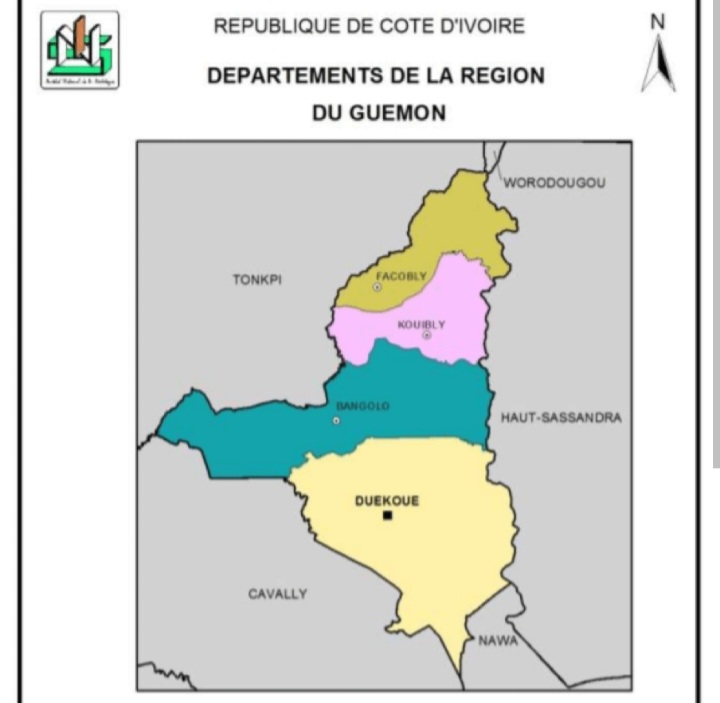 Côte d'Ivoire : Guémon, attention aux apprentis politiciens hiboux ...